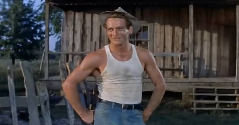 The Highest-Grossing Paul Newman Movies