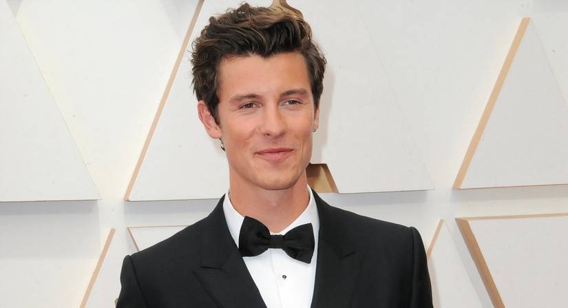 Shawn Mendes' Net Worth: Breaking Down The Pop Star's Millions